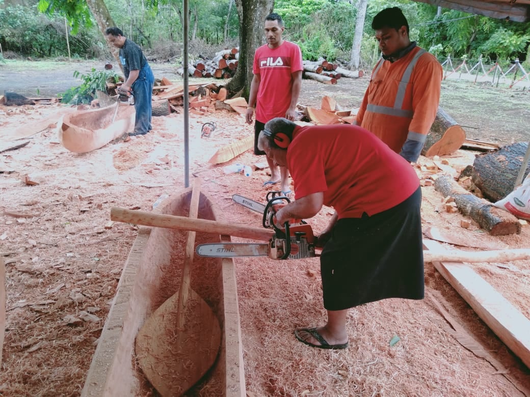 MORDI Tonga Trust | Empowering isolated rural communities to fight ...