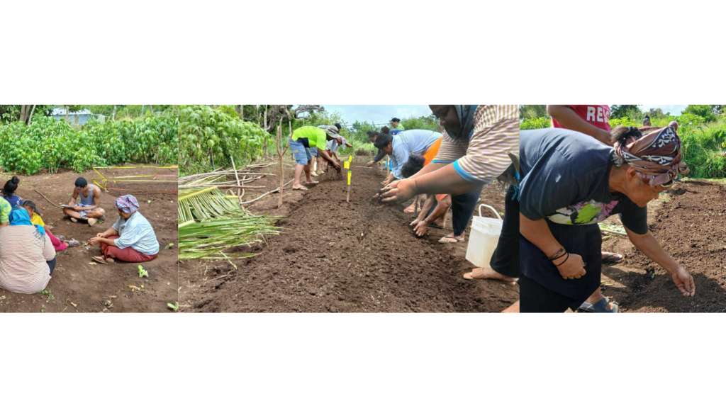 MORDI Tonga Trust | Empowering isolated rural communities to fight ...