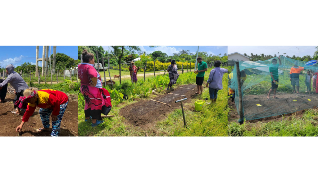 MORDI Tonga Trust | Empowering isolated rural communities to fight ...