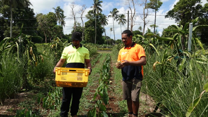 MORDI Tonga Trust | Empowering isolated rural communities to fight ...
