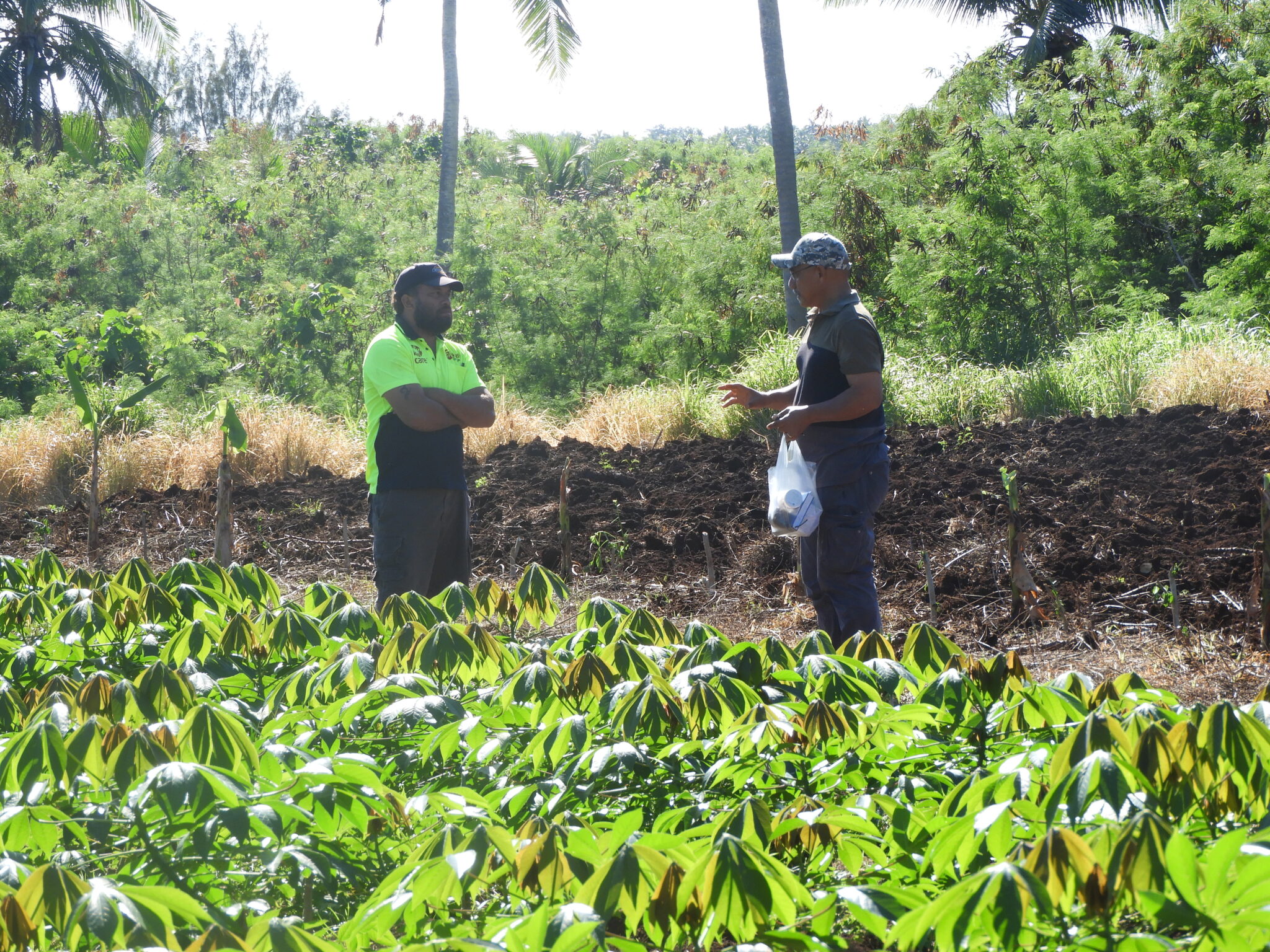 Strengthening Rural Resilience Through Meteorological Tools and Early ...