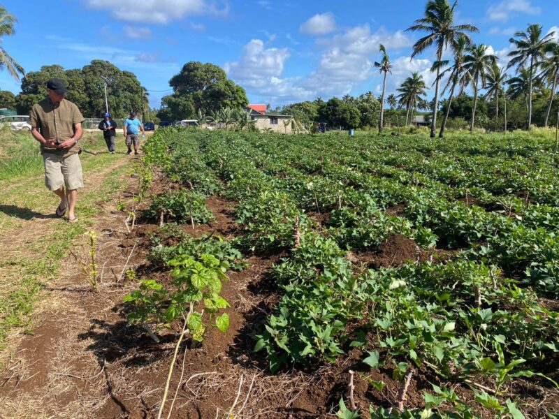 MORDI Tonga Trust | Empowering isolated rural communities to fight ...