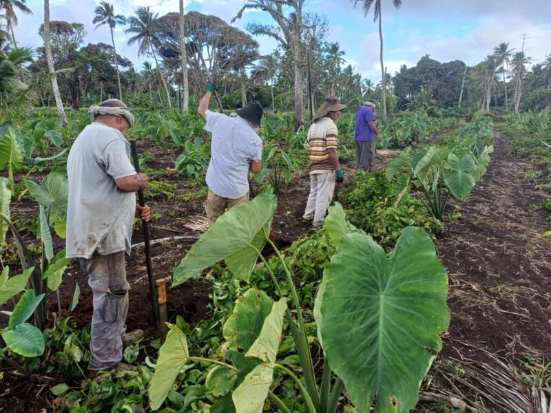 MORDI Tonga Trust | Empowering isolated rural communities to fight ...